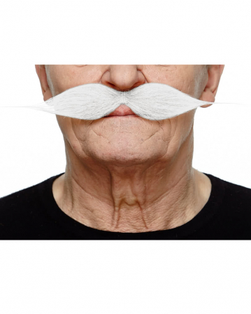 Bärte & Koteletten als Kostümzubehör | Karneval Universe