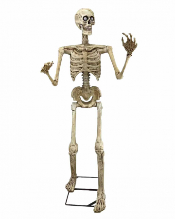 Scary Skeleton Halloween Animatronic 150cm | - Karneval Universe