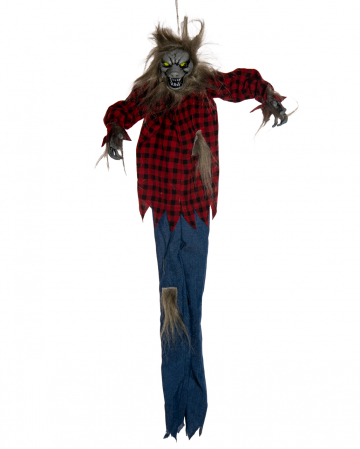 Fullmoon Werewolf Hanging Figure 50cm order | - Karneval Universe