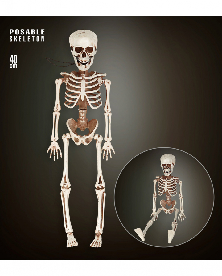 Movable Skeleton 40 Cm as a creepy deco | - Karneval Universe