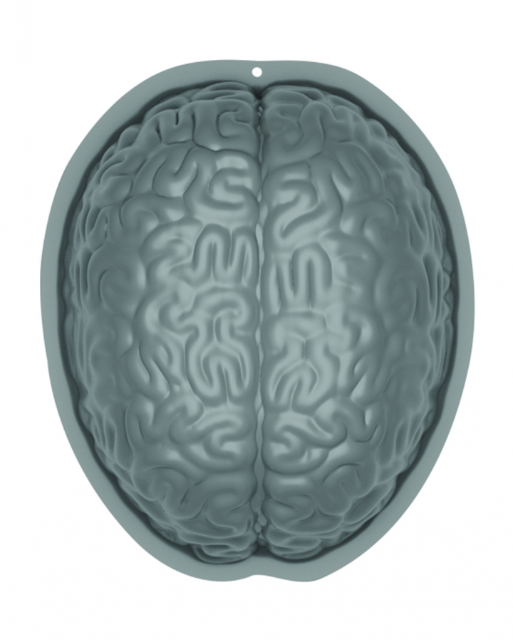 Brain Halloween Pudding Mould as a party gag | - Karneval Universe