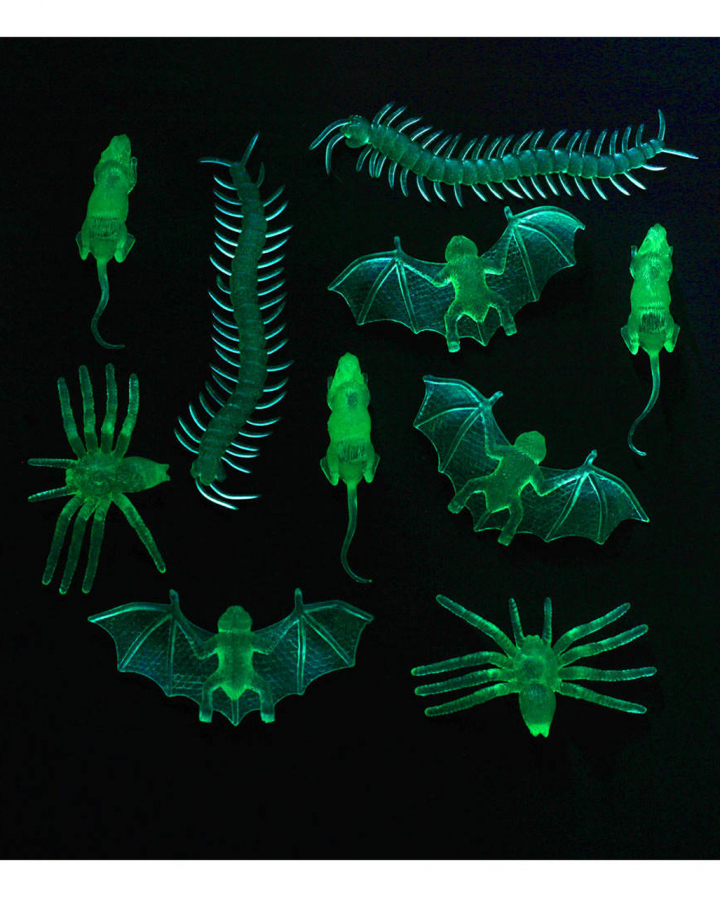 Creepy Insects Glow In The Dark 10 Pcs. for 🎃 | - Karneval Universe
