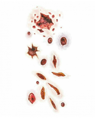 3D FX Transfer Tattoo wound scratches | Special effects makeup ...