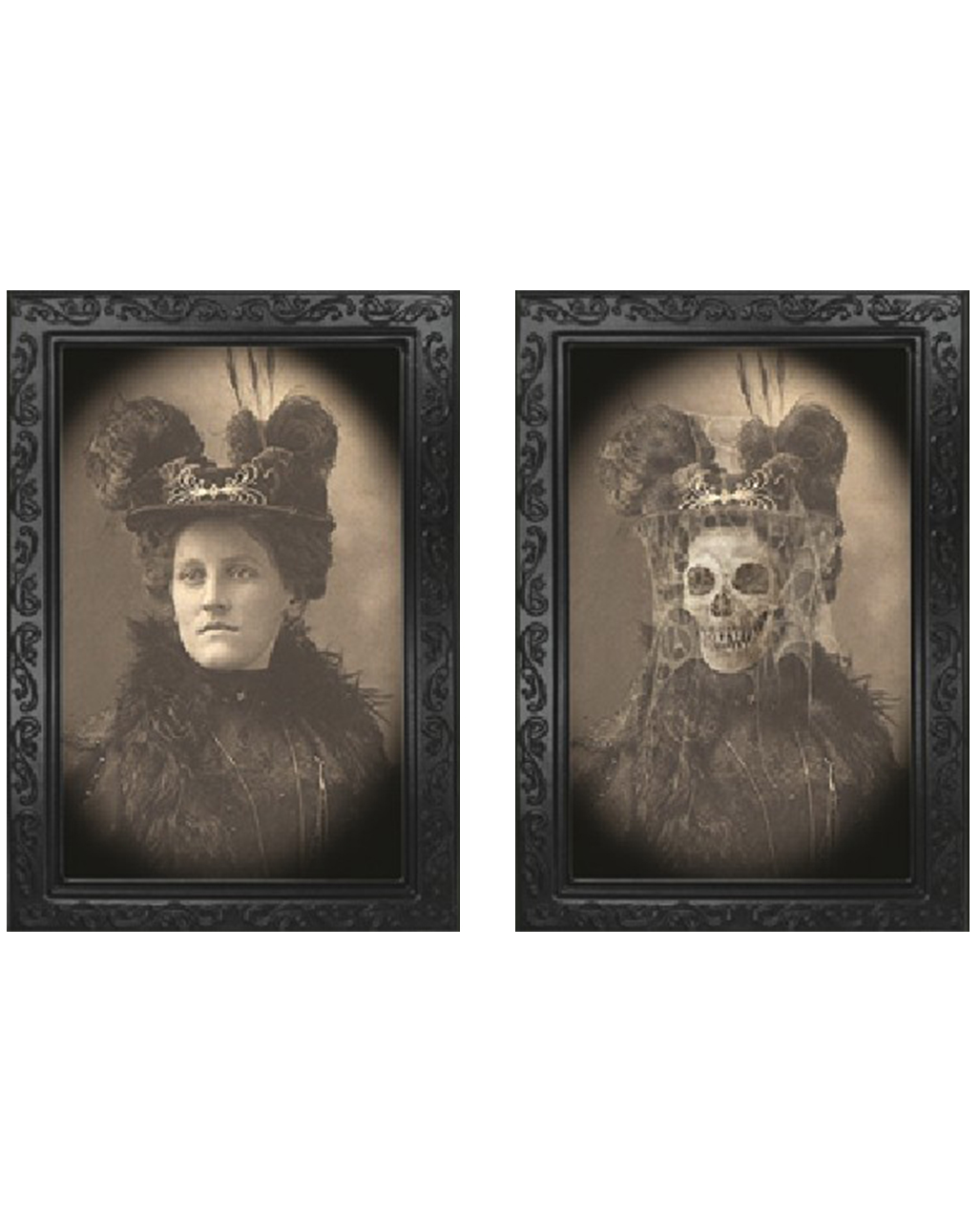 Hologram Mural Skeleton Countess 22x30 Cm ★ | - Karneval Universe