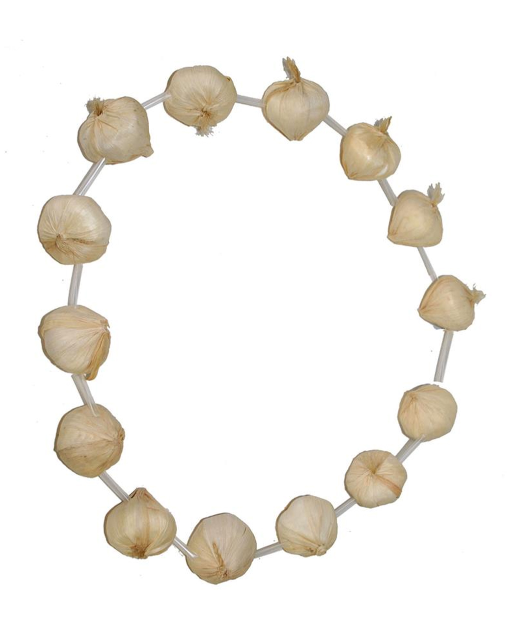 Garlic Necklace as a costume accessory 🎃 | - Karneval Universe