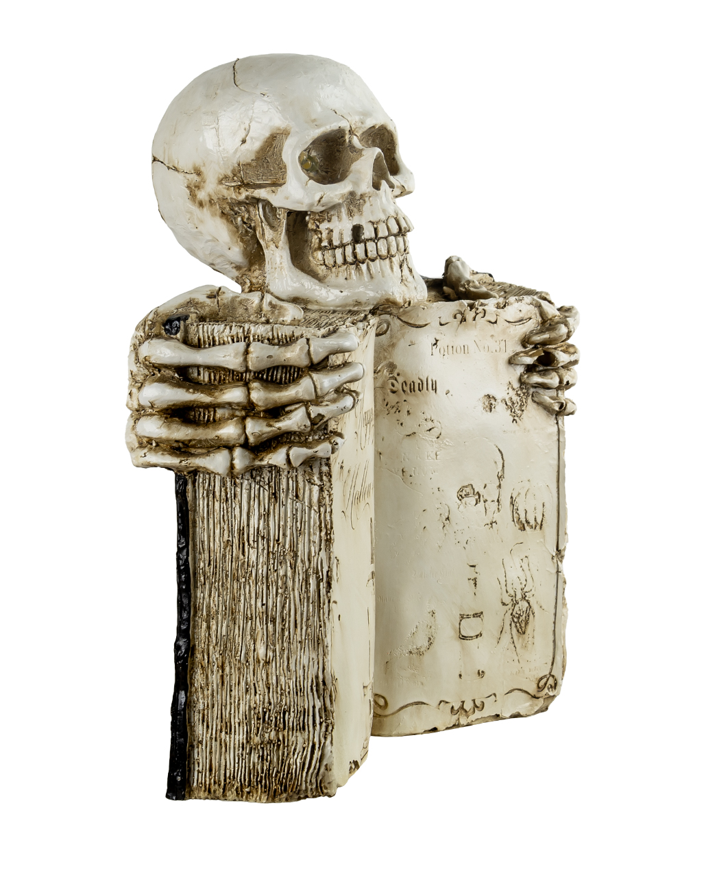 Skeleton Bust With Spellbook & LED Eyes 34cm as an eye-catcher ...