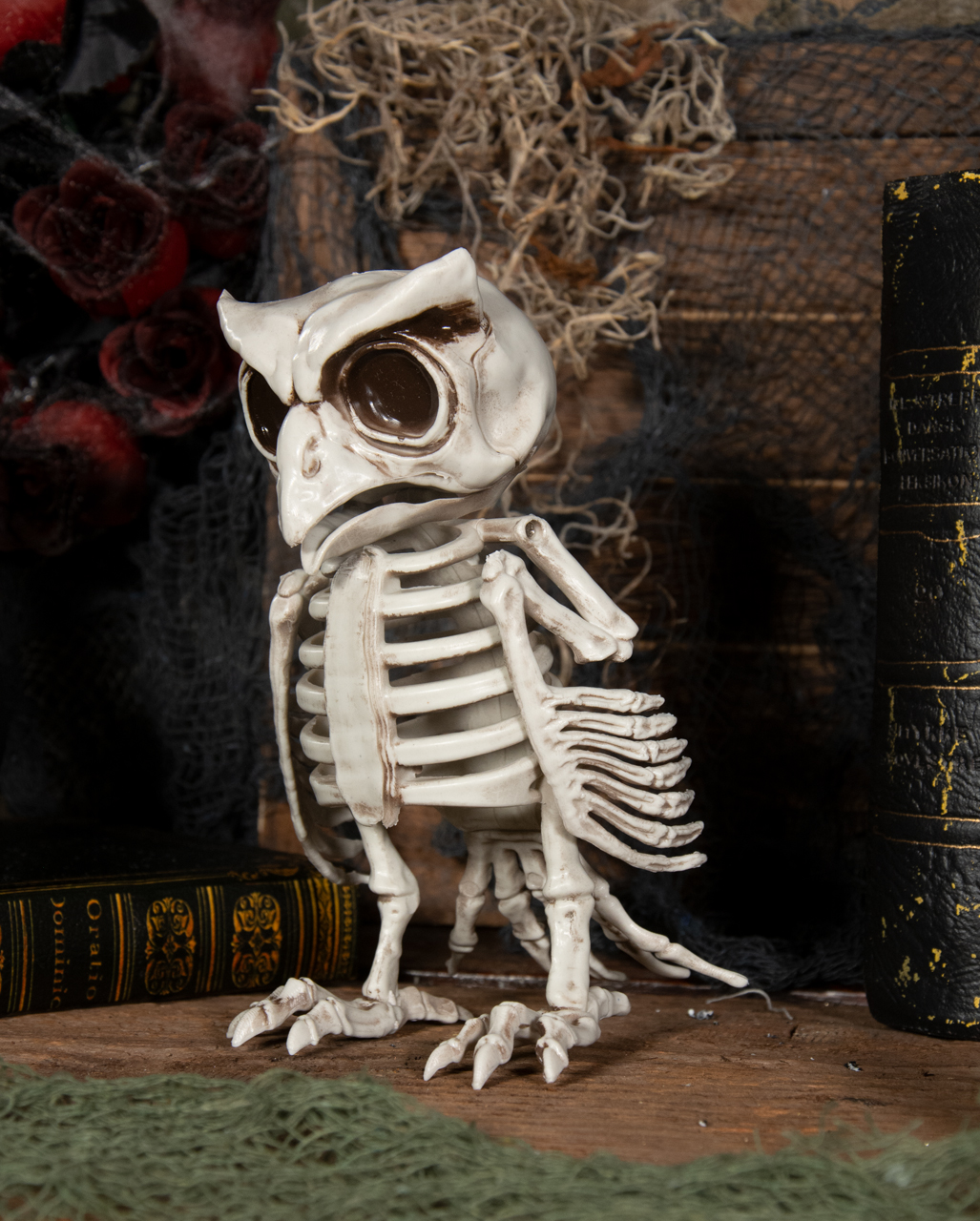 Owl Skeleton As Halloween Decoration 17.5cm | Order NOW! | - Karneval ...