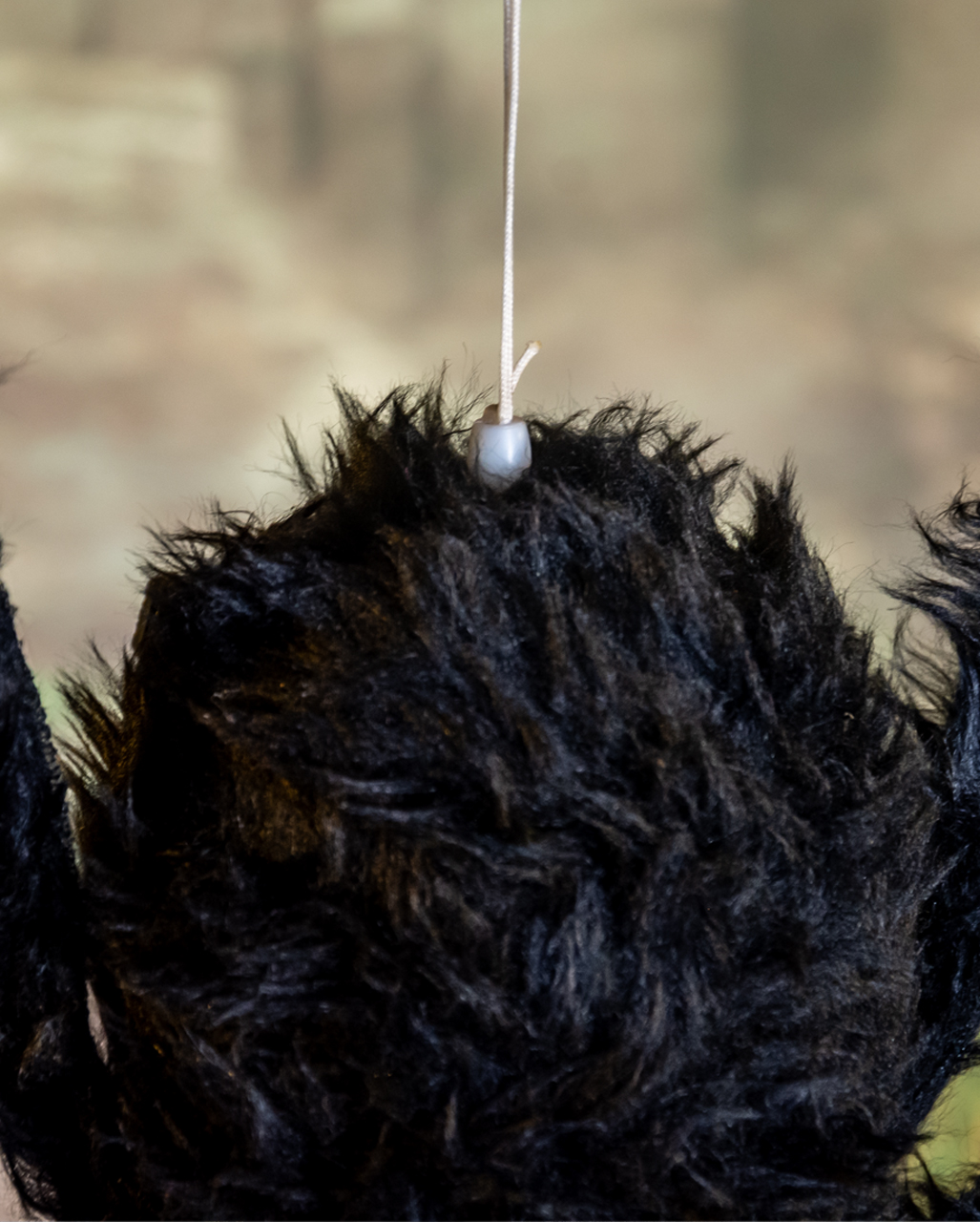 Abseiling Giant Spider as scary decoration | - Karneval Universe