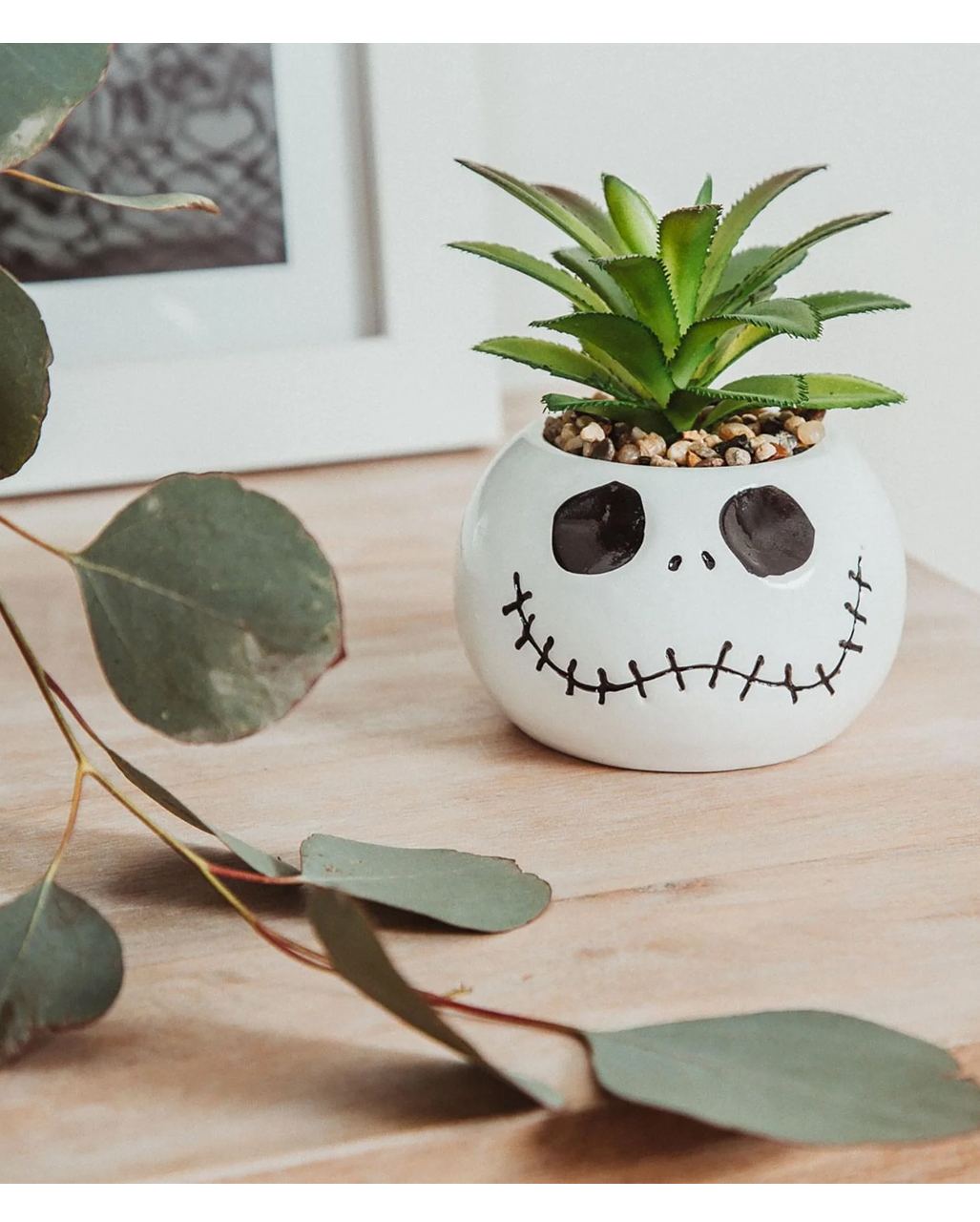 TNBC Jack Skellington Topf mit Sukkulente | Karneval Universe