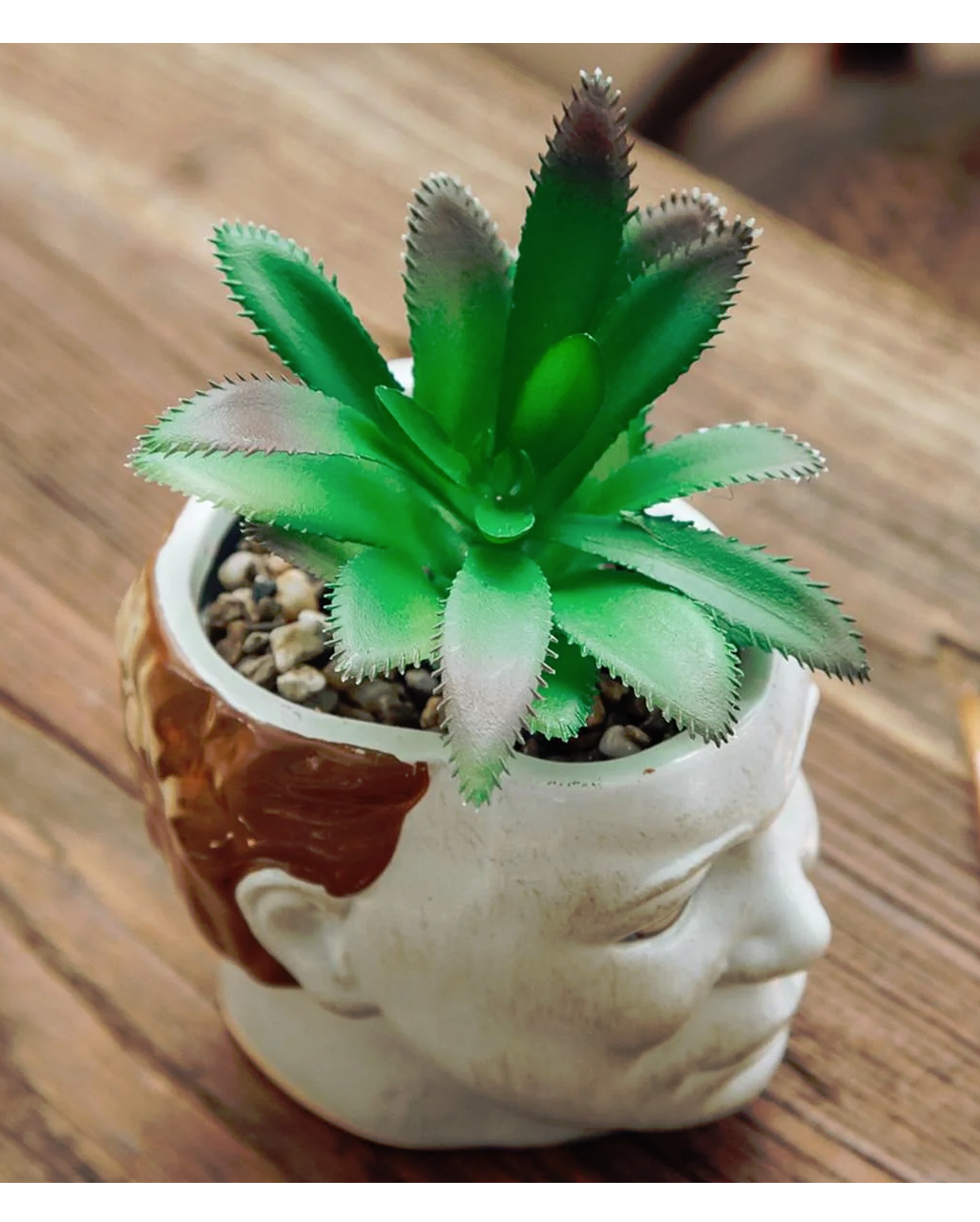 Halloween II Michael Myers Topf mit Sukkulente | Karneval Universe